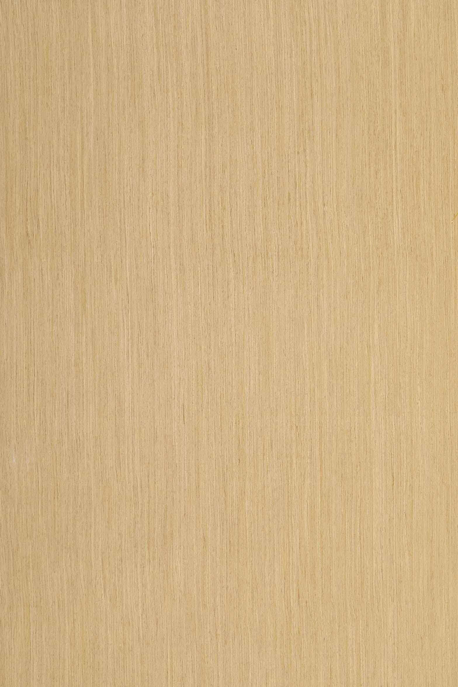 SAHARA OAK SEMIQUARTERCUT 050DS - Corà Domenico & Figli